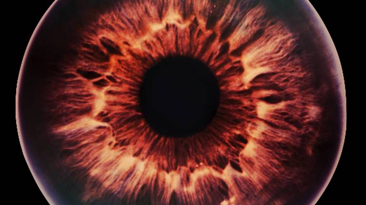 SKIBIDITOALET СКИБИДИ ТУАЛЕТ ВОЙНА