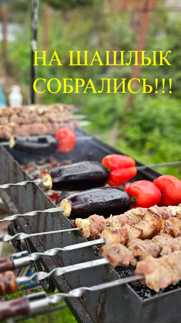 Мы тут на шашлыки собрались🤣 #food #шашлык #еда #прикол #овощигриль #дача #природа