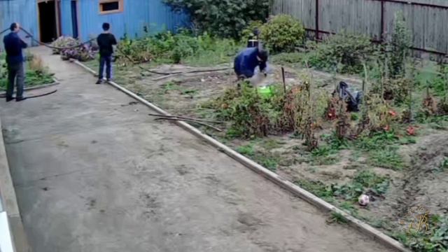 Убираем огород 🏡 осенние хлопоты🤍