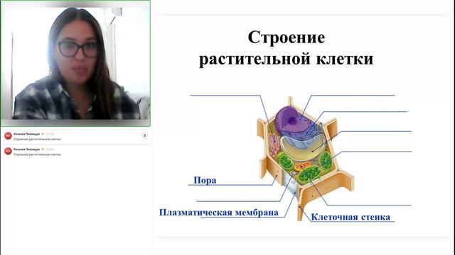 Биология 6 класс 24.09.2024