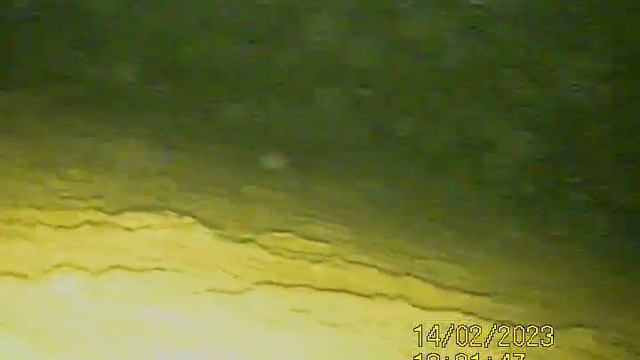 Рак под водой. Зима.