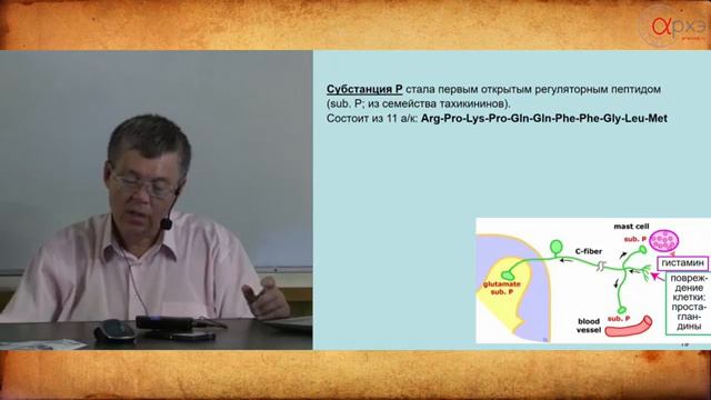 Вячеслав Дубынин  "Мозг, боль, анальгетики"