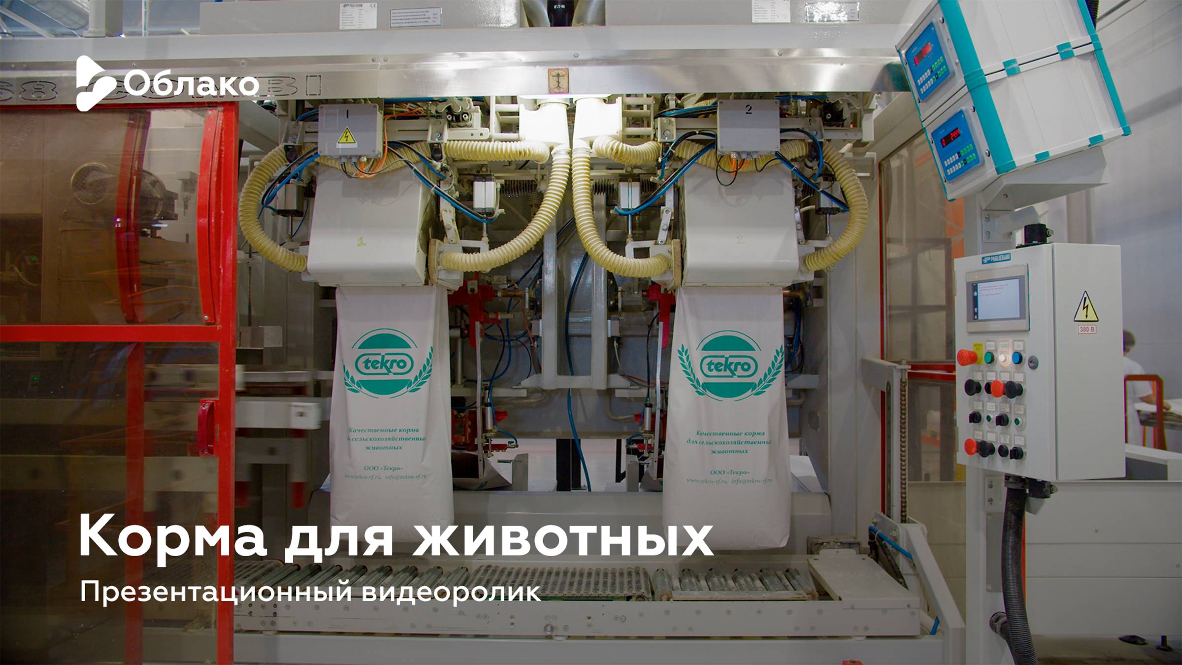 Корма для животных — презентационный видеоролик
