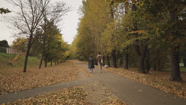 Почему мы не можем видеть Бога? (9 часть проекта)