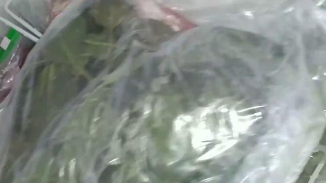 Заморозка. Начало заготовок 2021 год