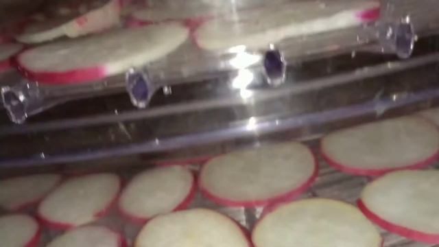 Сушка редиса (в электросушилке) применение