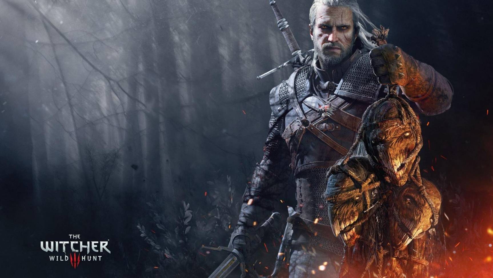 #1 The Witcher 3 Wild Hunt #1