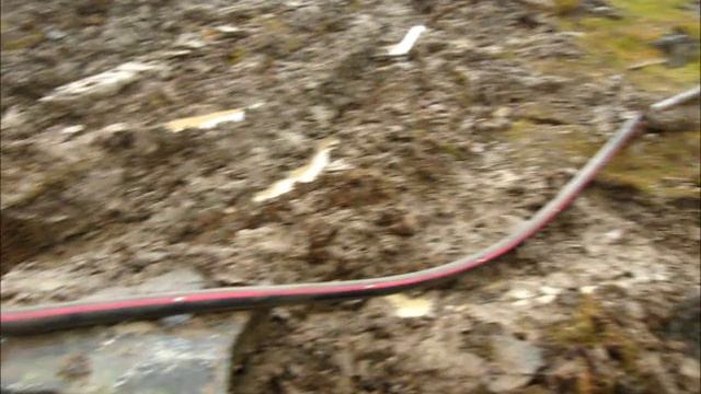 Так начинался Тайбасс