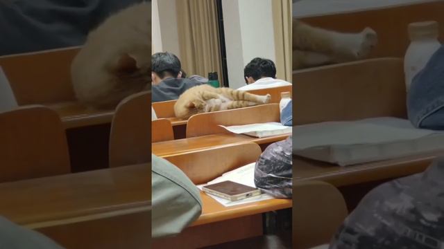 Услышу кто списывает, сразу на выход !