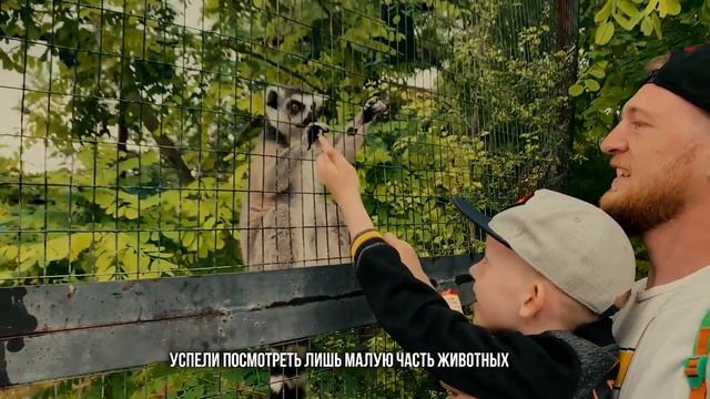 Коктебель, 2021.