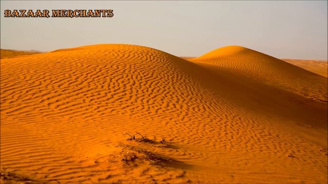 Beautiful Arabian Music & Egyptian Music - Arabian Nights