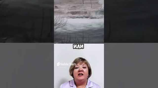 Физика всем и Цунами