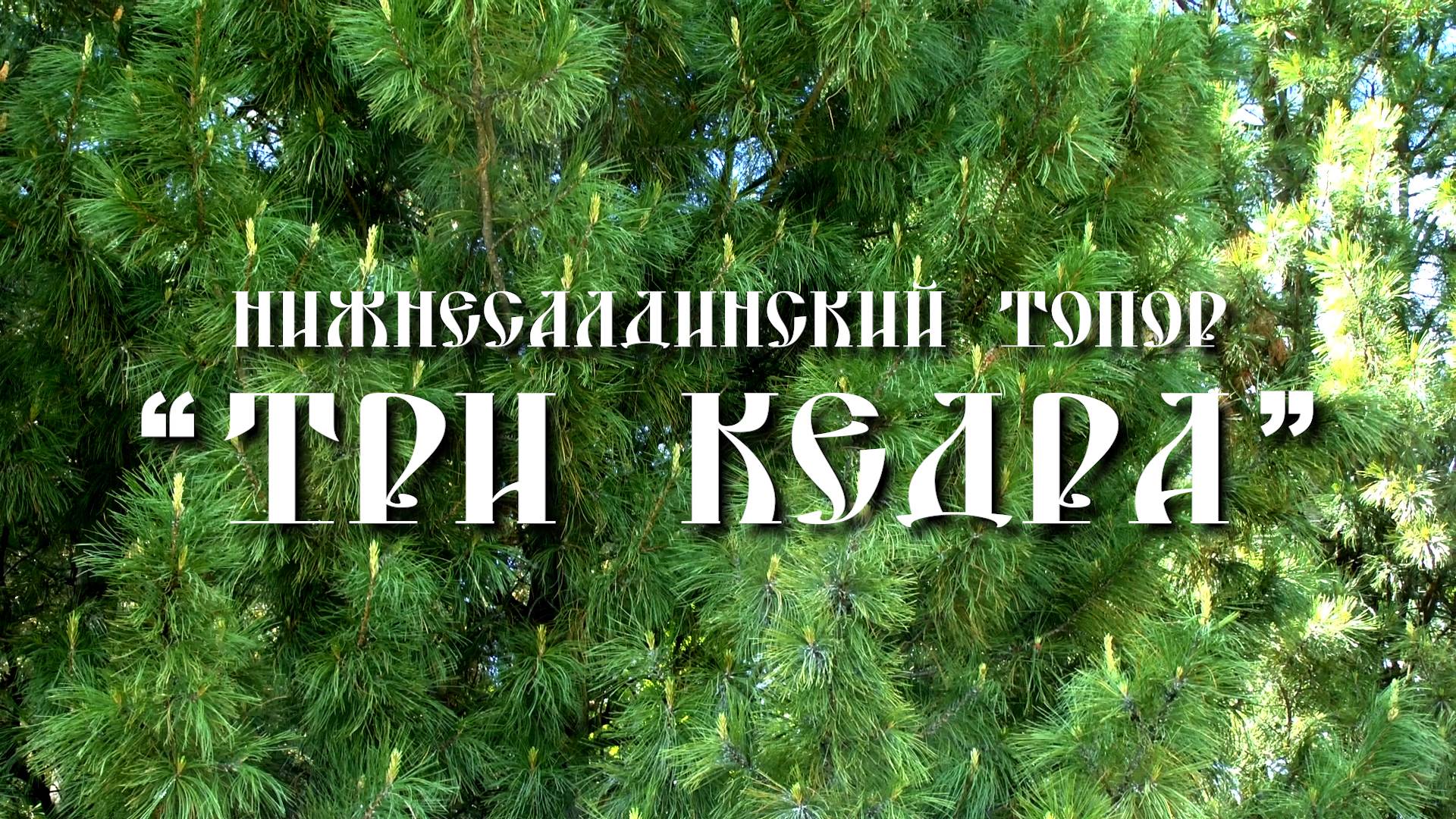 Нижнесалдинский топор Три кедра