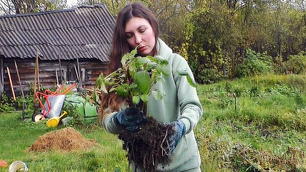🏡 ДОМ В ДЕРЕВНЕ: НЕ ДЕЛАЙ ЭТИХ ОШИБОК! МЫ ТОЖЕ ЭТОГО НЕ ЗНАЛИ
