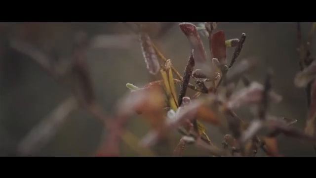 Toyota Chaser 1JZ-GTE