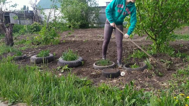 Пришли семена. Работка в огороде