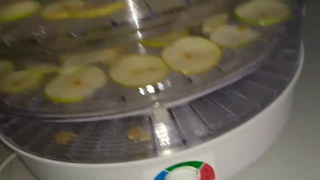 Урожай груши (Способы и варианты сохранения)