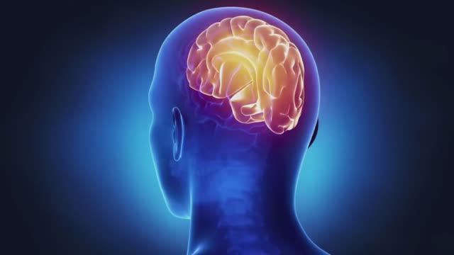 Почему мы не можем видеть Бога (7 часть проекта)