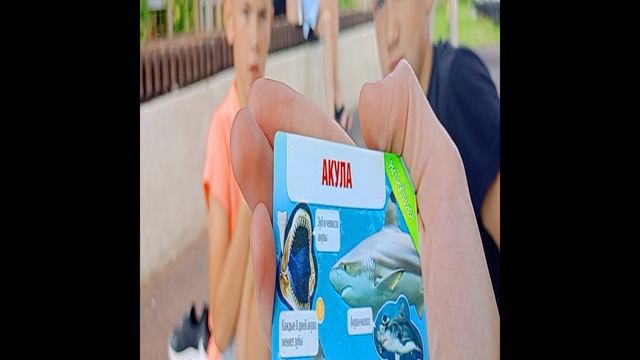 отгадай животное