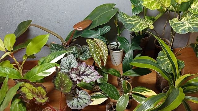 Скидки на альбомы с Излишками --30% и 20%. Успевайте заказать. 25.09.24.