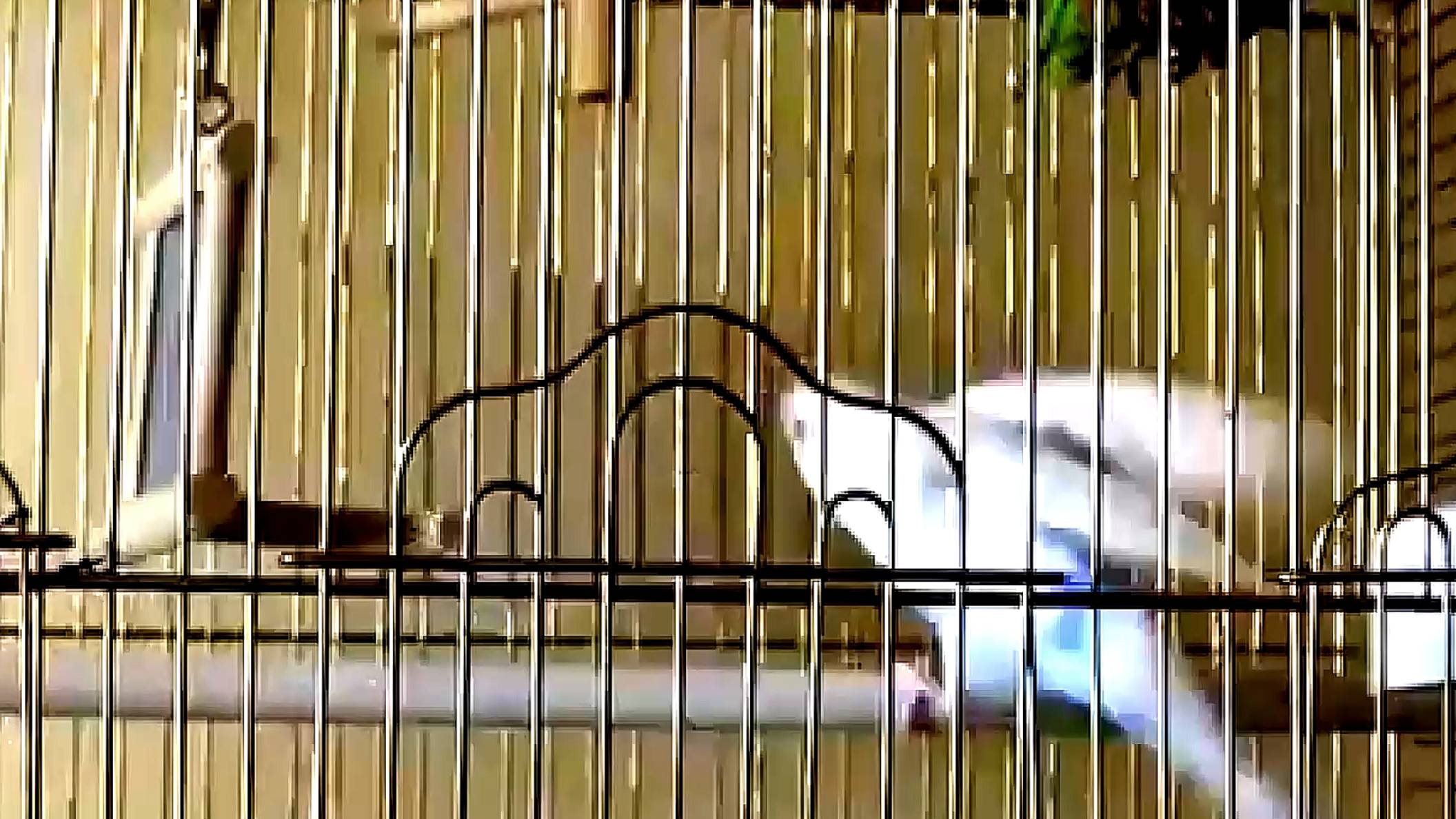 Когда волнистый попугай Морозко просится шалить и летать!