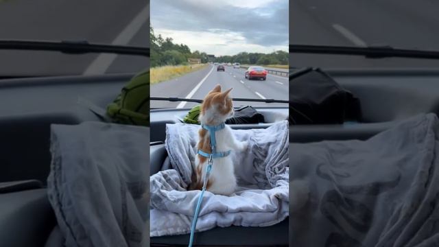 Маршрут вроде правильный. Пойду спать