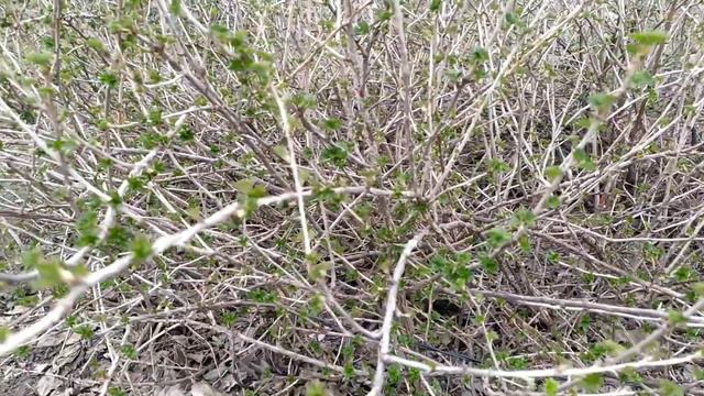 Пересадка рассады. Что я использую при уборке в ванной комнате.