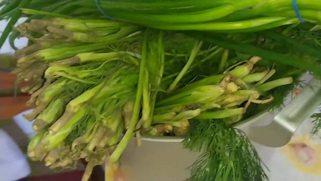 Зелень. Варианты сохранения