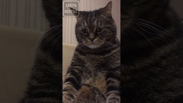 Вечер - а её опять нет. У подружки говорит задерживаюсь