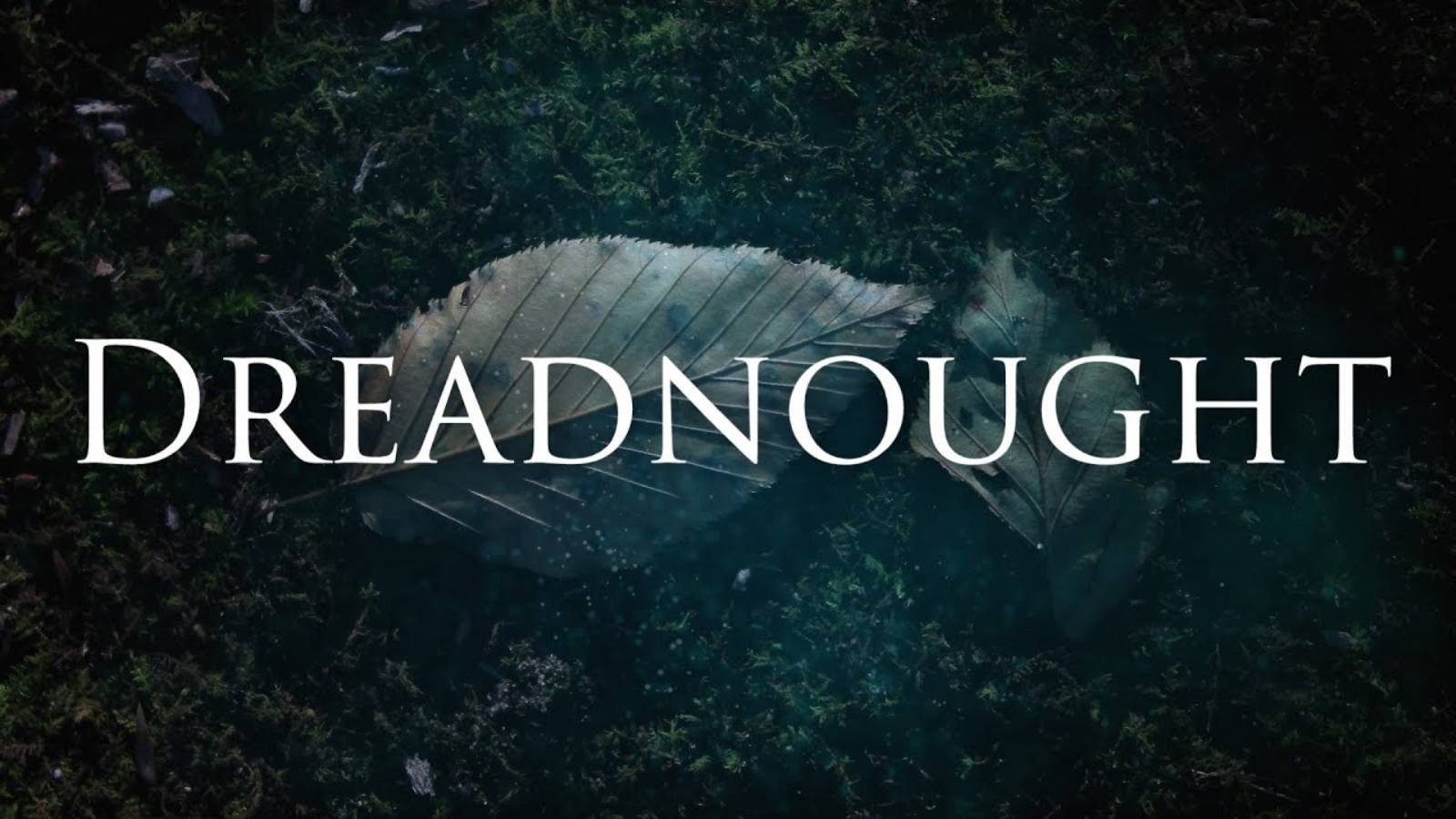 [Мельница - Dreadnought] Гитарный кавер