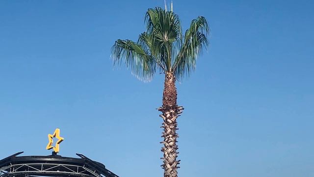 Турция Tui Magic Life Masmavi, 2019.