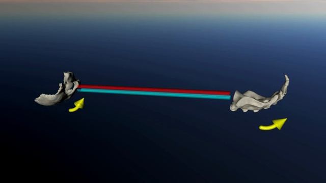 Основная взаимосвязь затылочной кости и крестца. Видео 2