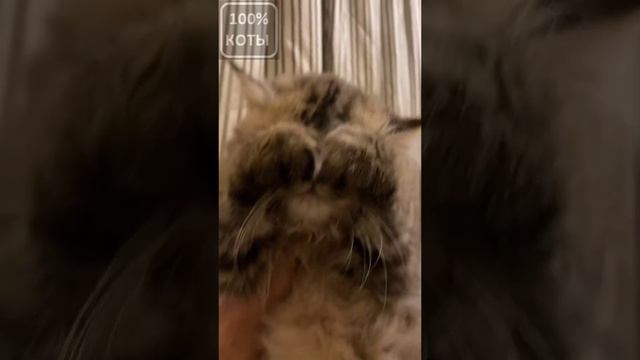 Ну зачем ты снова включил эту грустную музыку ?