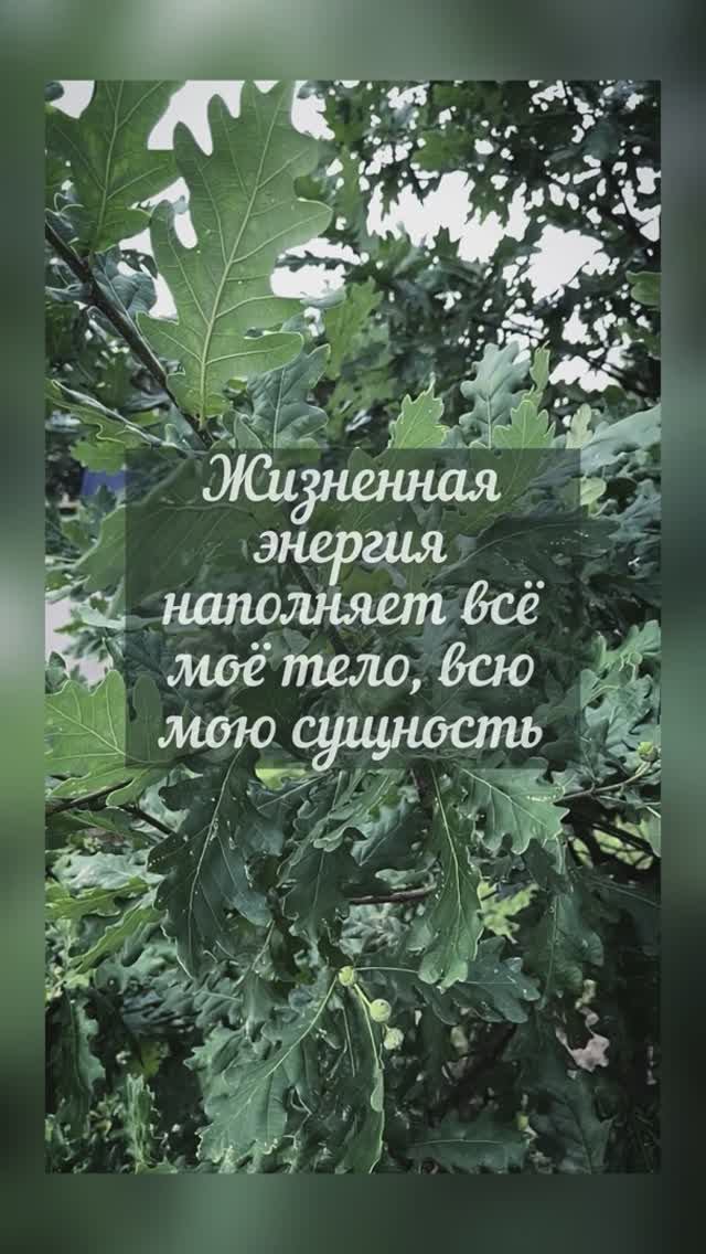 Аффирмация недели (12) #shorts