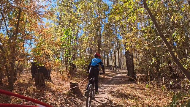 2024 "Золотые Колёса" 1й этап - Орехово-Зуево - Мальчики 2013 - 2014 г.р.