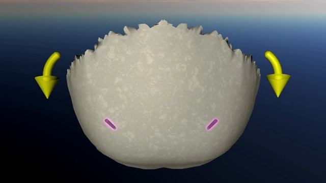 Лобная кость. Видео 2