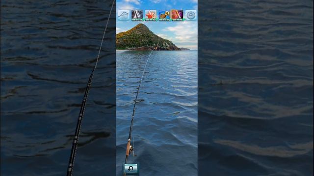 Let's Fish. Австралия. Порт Стивенс.mp4