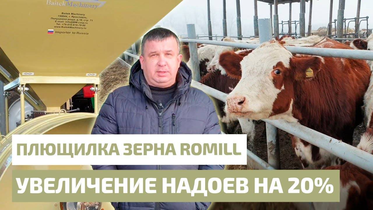 Увеличение надоев на 20% с плющилкой RomiLL CP 1 SIMPLE.