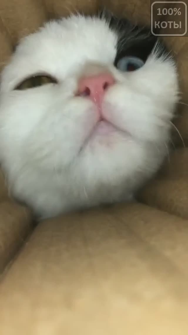 Иди сюда любитель скрытно поснимать