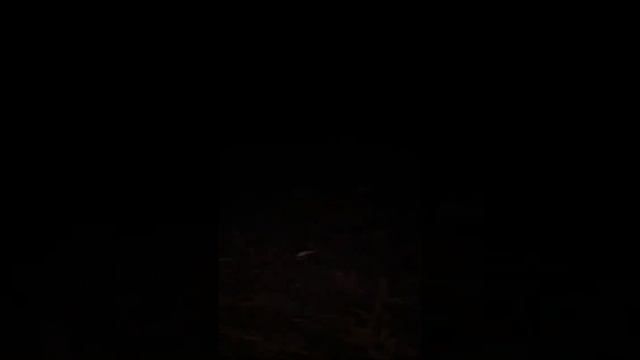 Sabrina family  в прямом эфире!.mp4