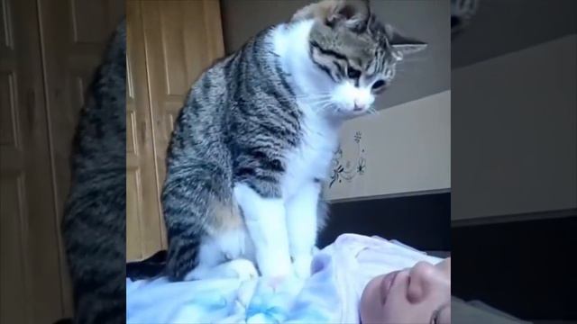 Доброе утро. У меня там корм кончился... за ночь