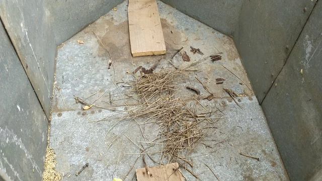 Перегной своими руками. Компост. Шашлычок.