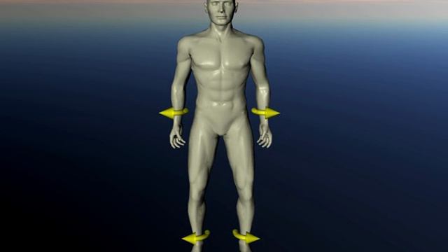 Краниосакральный ритм в человеческом теле