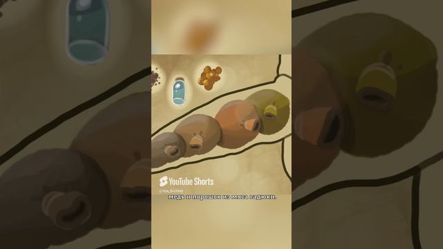 Как устроена маска чумного доктора / #история #факты #history #чума #чернаясмерть #чумнойдоктор