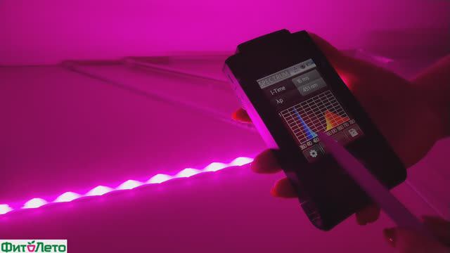 Светильник для растений влагозащищенный Uniel ULZ-P02-14W/SPFR IP65 CLEAR UL-00011211