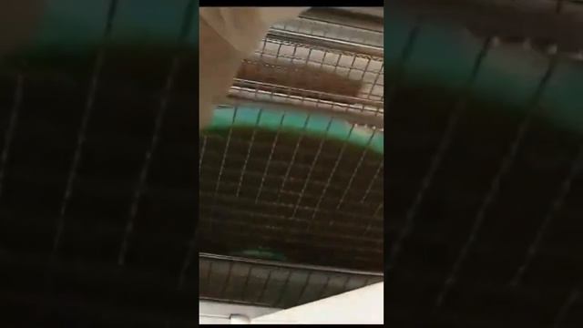 Вести Самара Кладовая Ксении