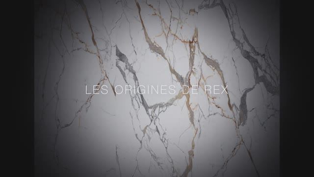 Керамогранит Les Origines de Rex
