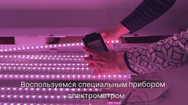 Светильник для растений Uniel влагозащищенный ULY-P91-20W/SPFR/K IP65 AC220V CLEAR KIT09 UL-00003853