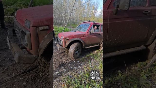 НИВА 4Х4 ОГОНЬ.