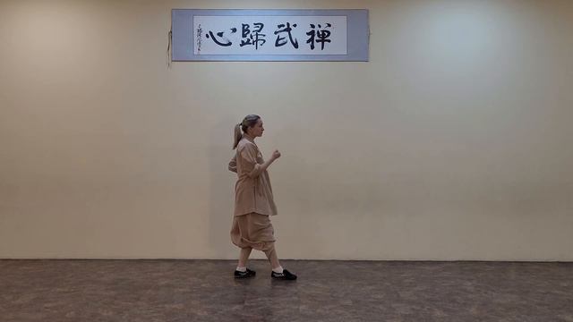 Комплекс Шисань цюань / Кунг-фу Шаолиня / Shisan quan 十三拳